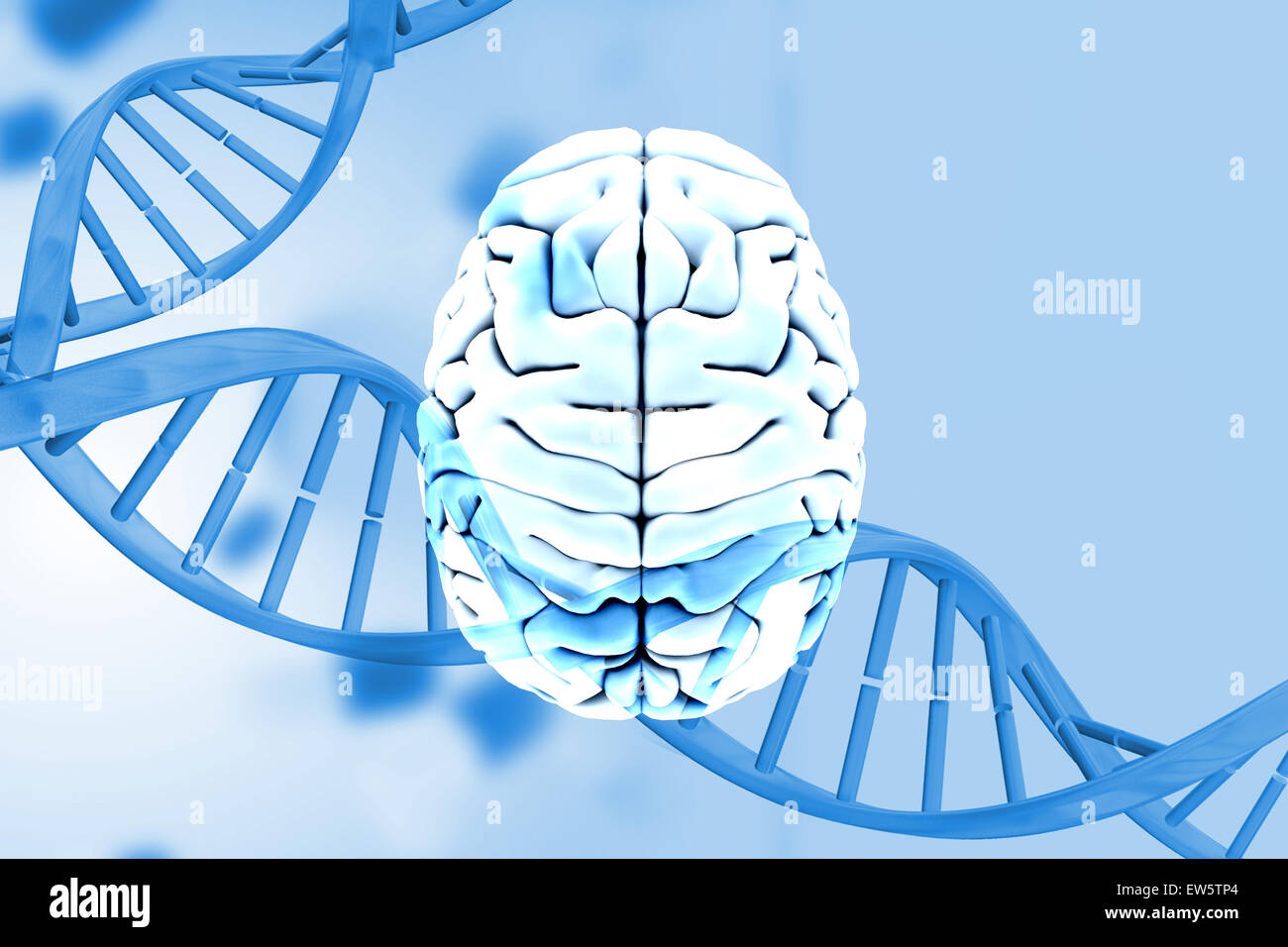 Dna genes and the brain hi-res stock photography and images - Alamy