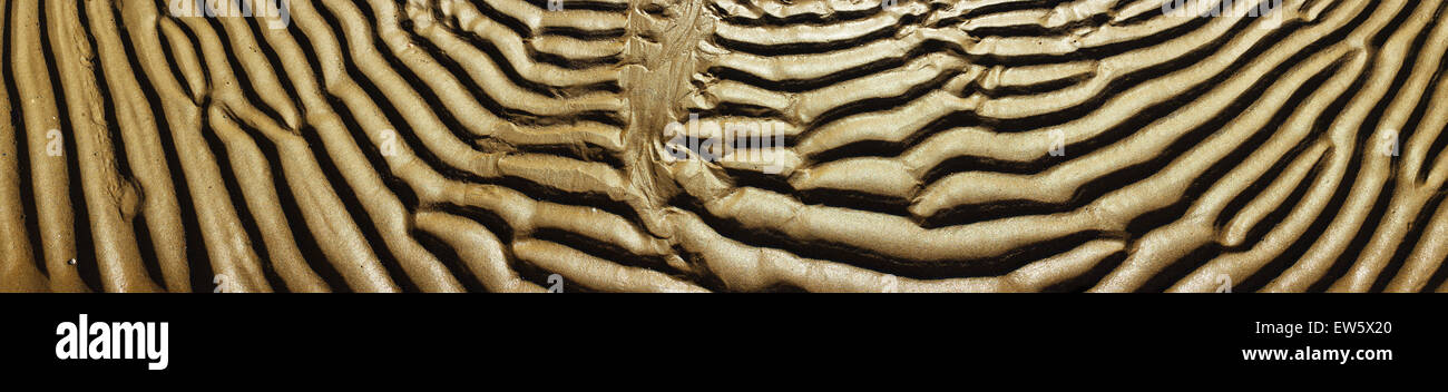 Wet sand groove formations at the shore line. Panoramic 125 Degrees in ...