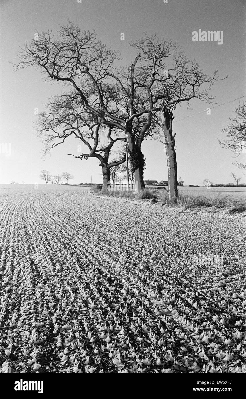 Cleveland weather Black and White Stock Photos & Images - Alamy