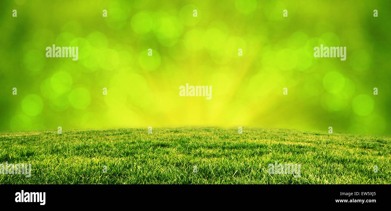 Abstract green grass 3d hi-res stock photography and images - Alamy