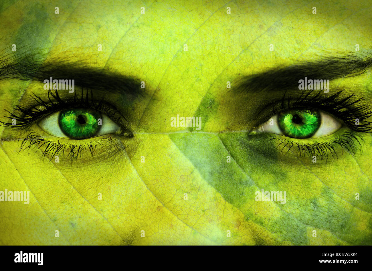 Leaf overlay on face Stock Photo - Alamy