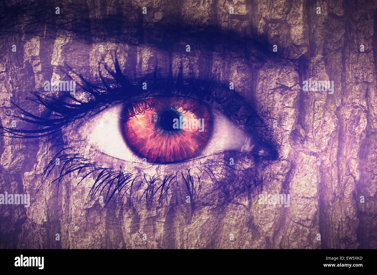 Bark overlay hi-res stock photography and images - Alamy