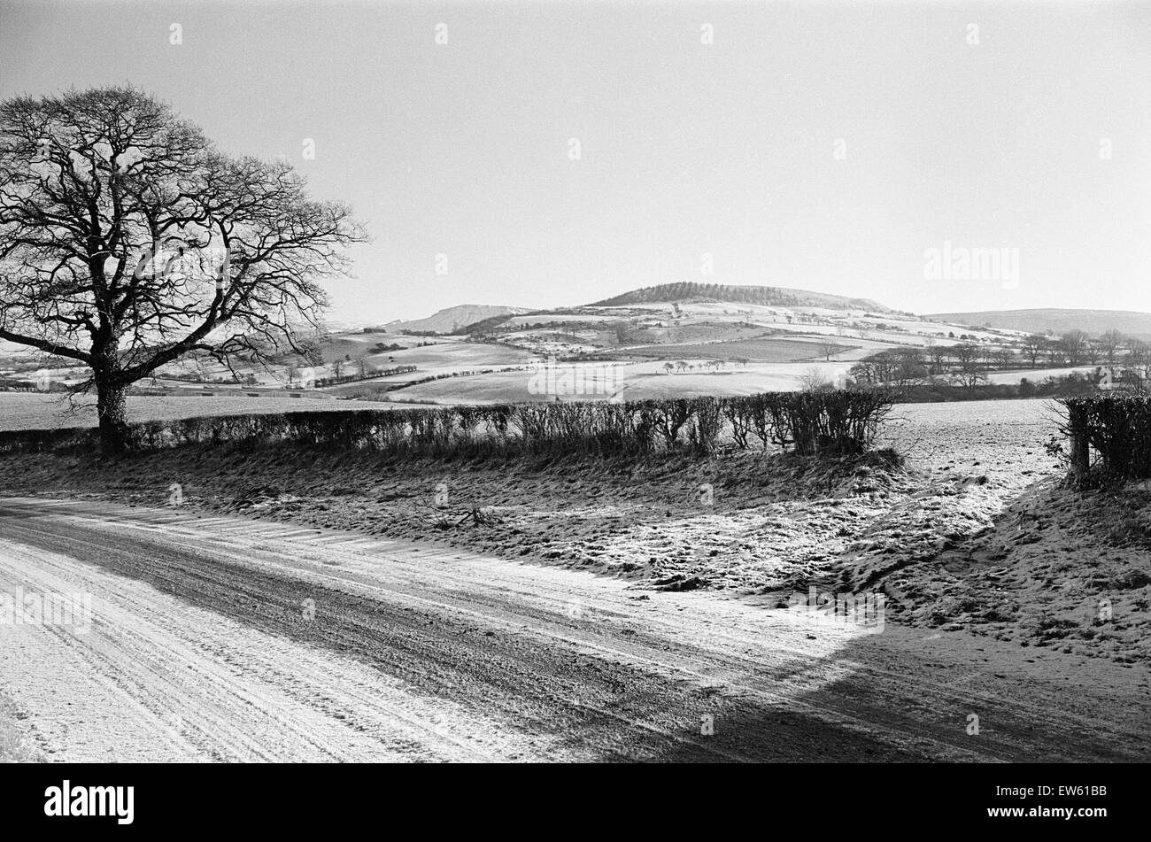 Countryside Scenes, Cleveland, North Yorkshire, 1st February 1980 Stock ...