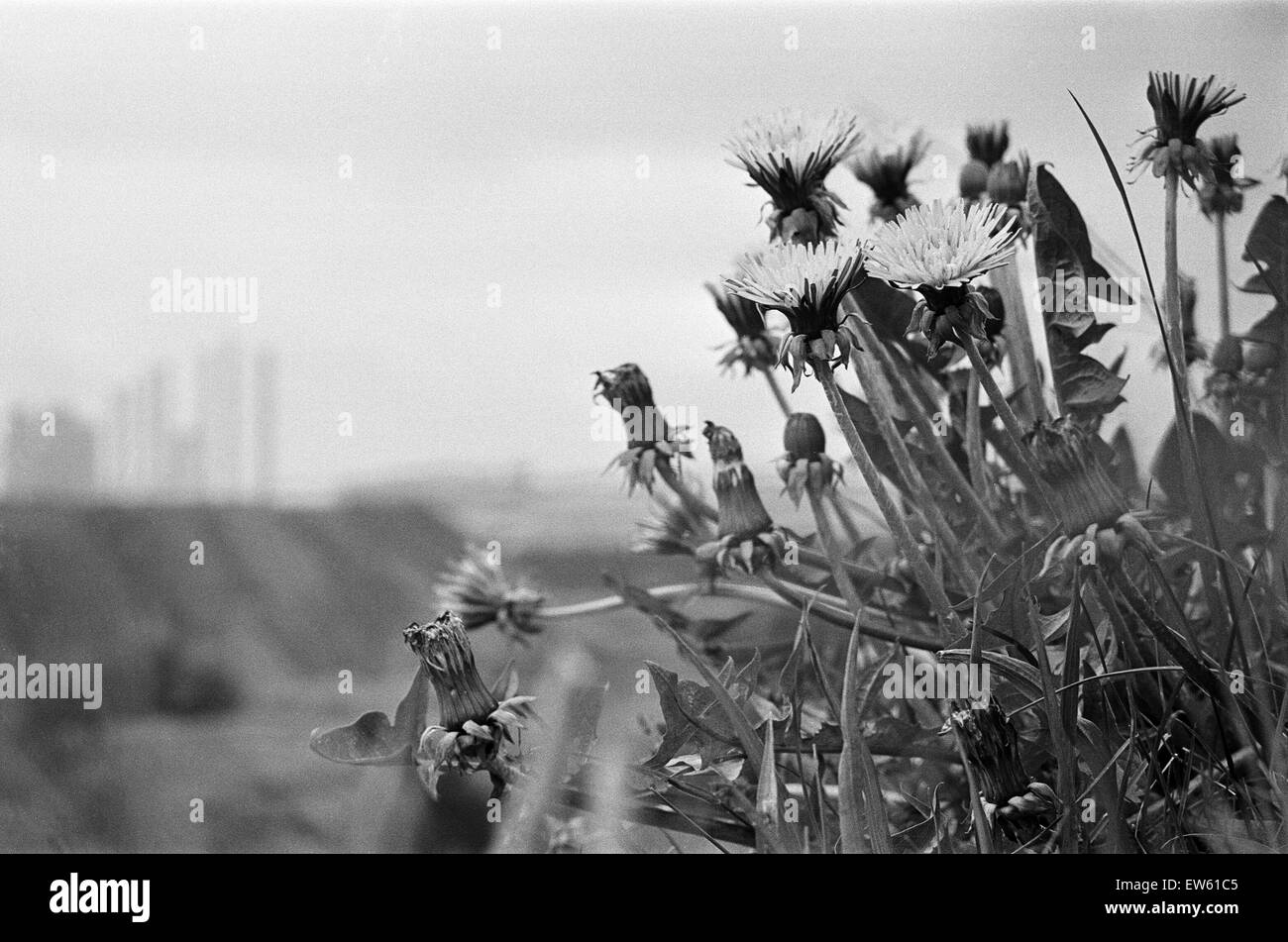 The Black Country, West Midlands, England. 25th May 1968 Stock Photo ...