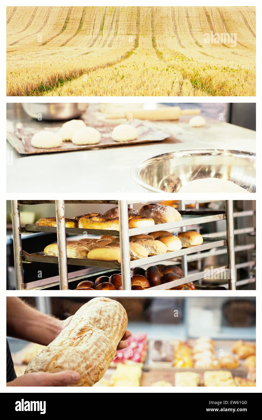 Collage rural hi-res stock photography and images - Alamy