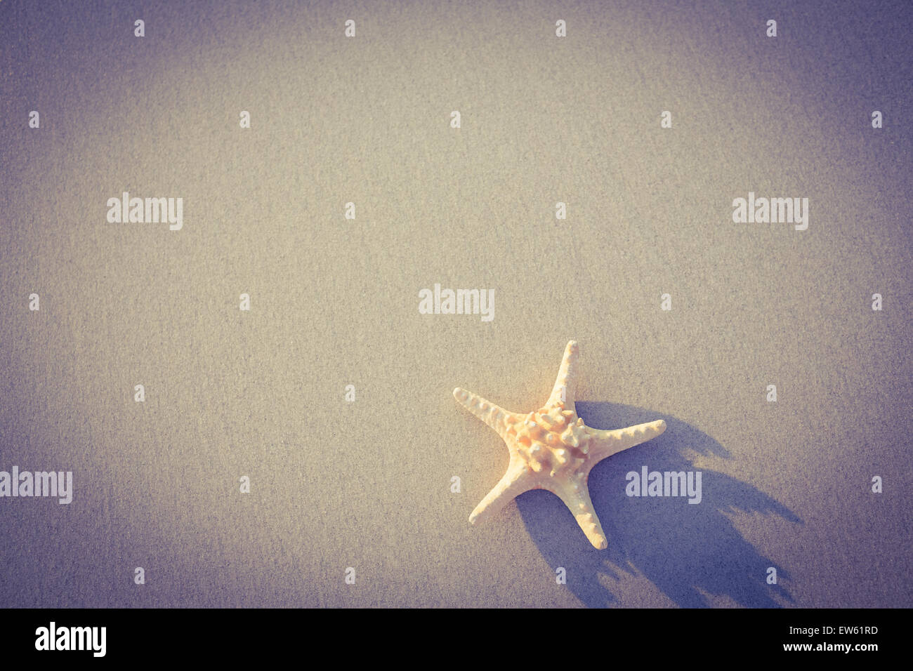 Starfish on the sand Stock Photo - Alamy