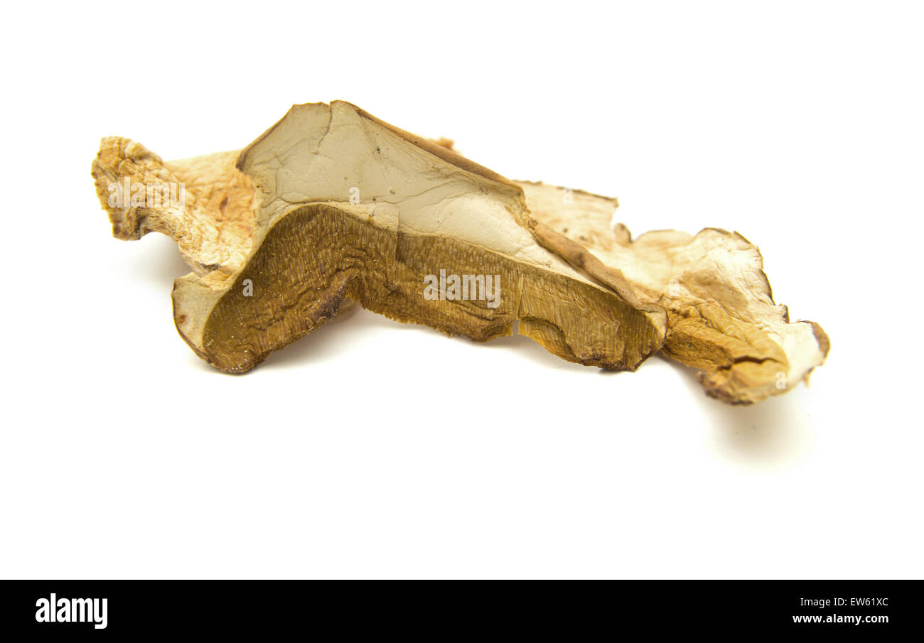 Closeup dried mushroom slices Cut Out Stock Images & Pictures - Alamy