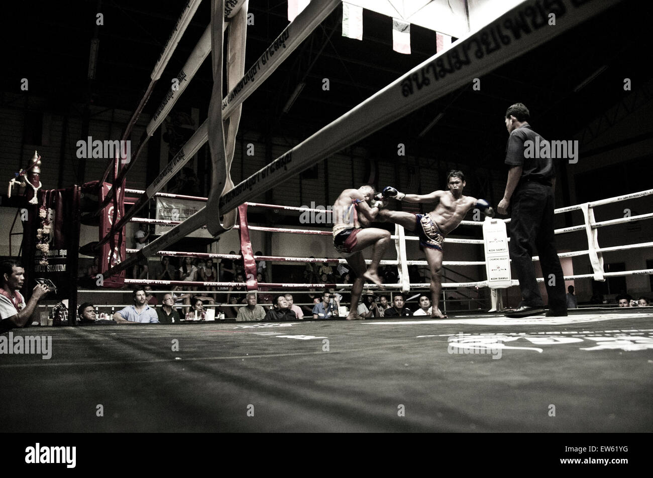 Muay Thai fight in Thailand boxing stadium Stock Photo - Alamy
