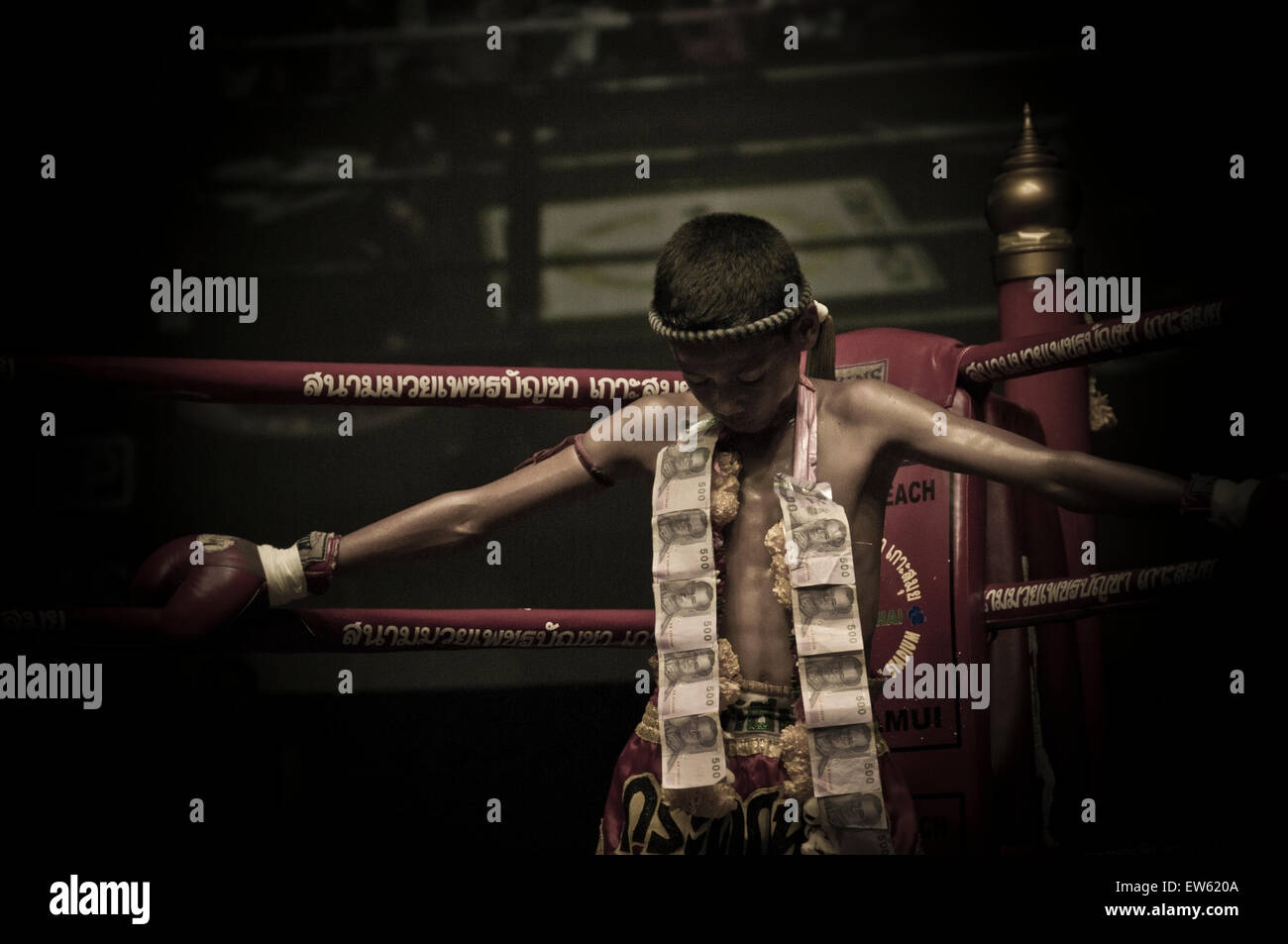 Muay Thai fight in Thailand boxing stadium Stock Photo - Alamy
