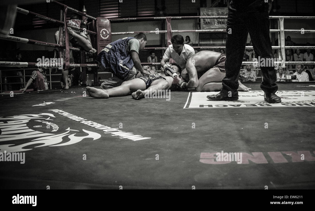 Muay Thai fight in Thailand boxing stadium Stock Photo - Alamy