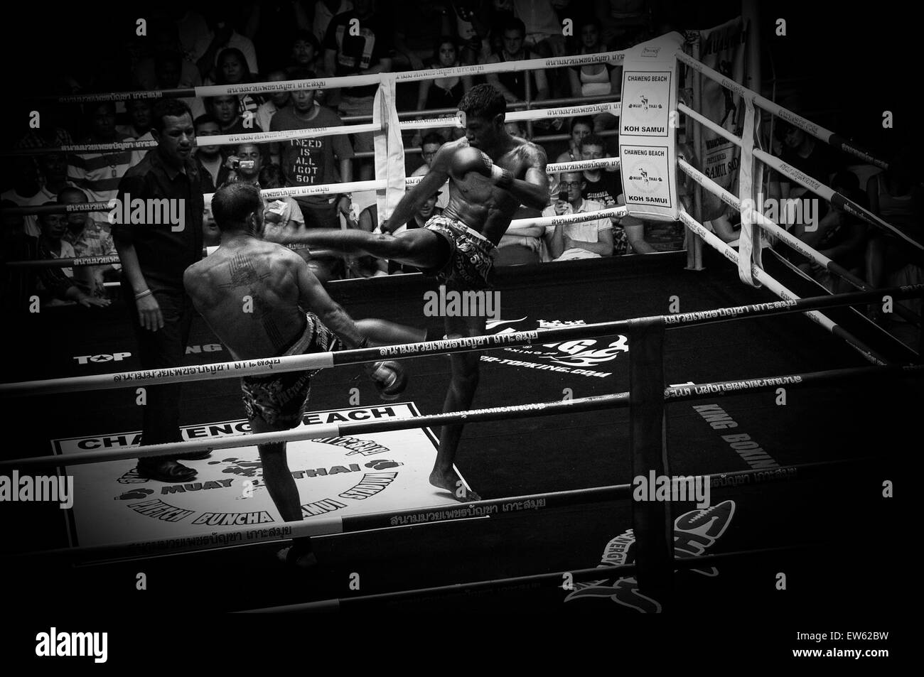 Muay Thai fight in Thailand boxing stadium Stock Photo - Alamy