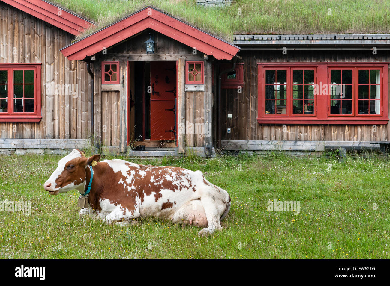 Turf roofed farm hi-res stock photography and images - Alamy
