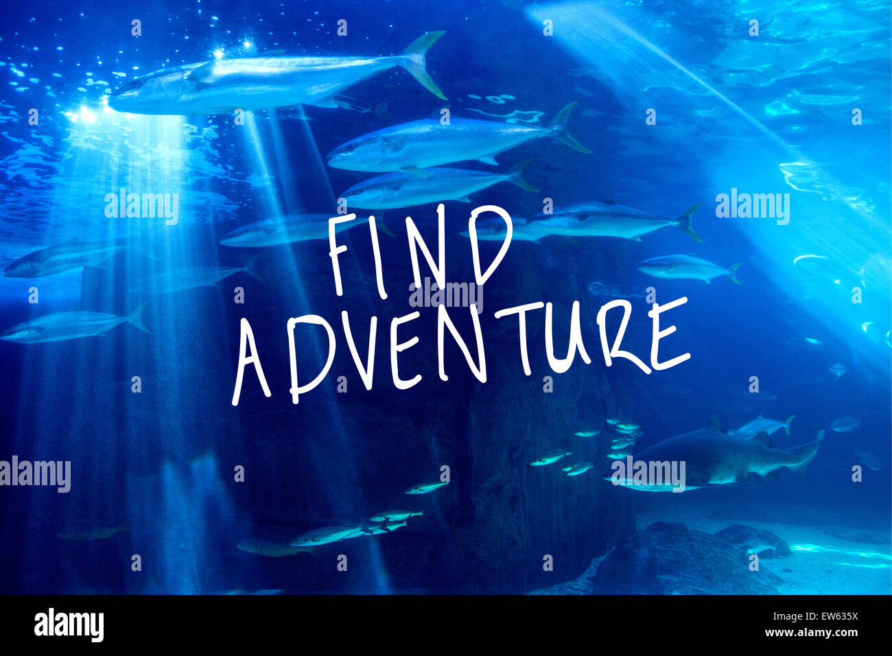 Composite image of find adventure Stock Photo - Alamy