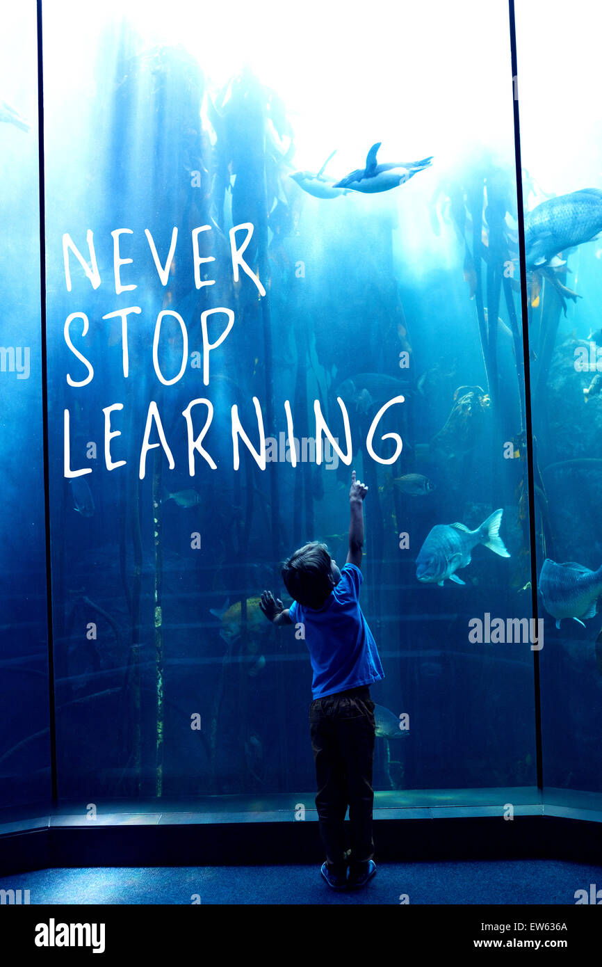 Composite Image Of Never Stop Learning Stock Photo Alamy composite-image-of-never-stop-learning-stock-photo-alamy