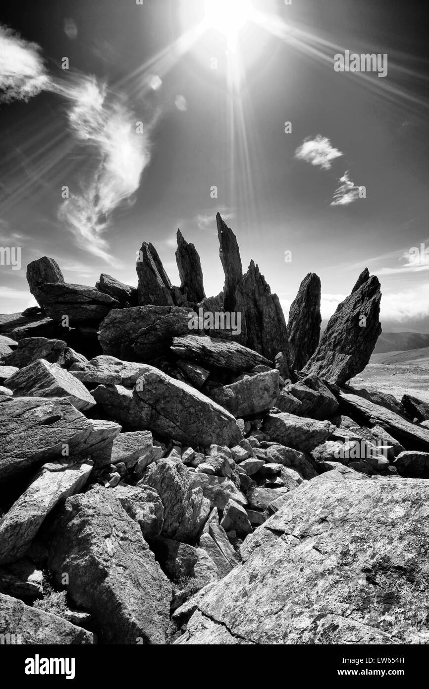 Frost y Black and White Stock Photos & Images - Alamy