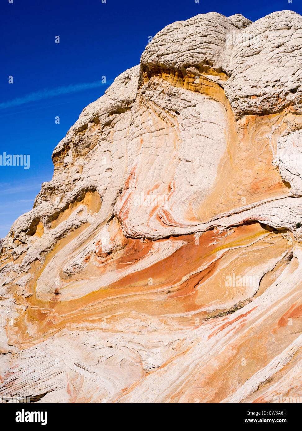 Scene from the White Pocket geological area of Vermillion Cliffs ...
