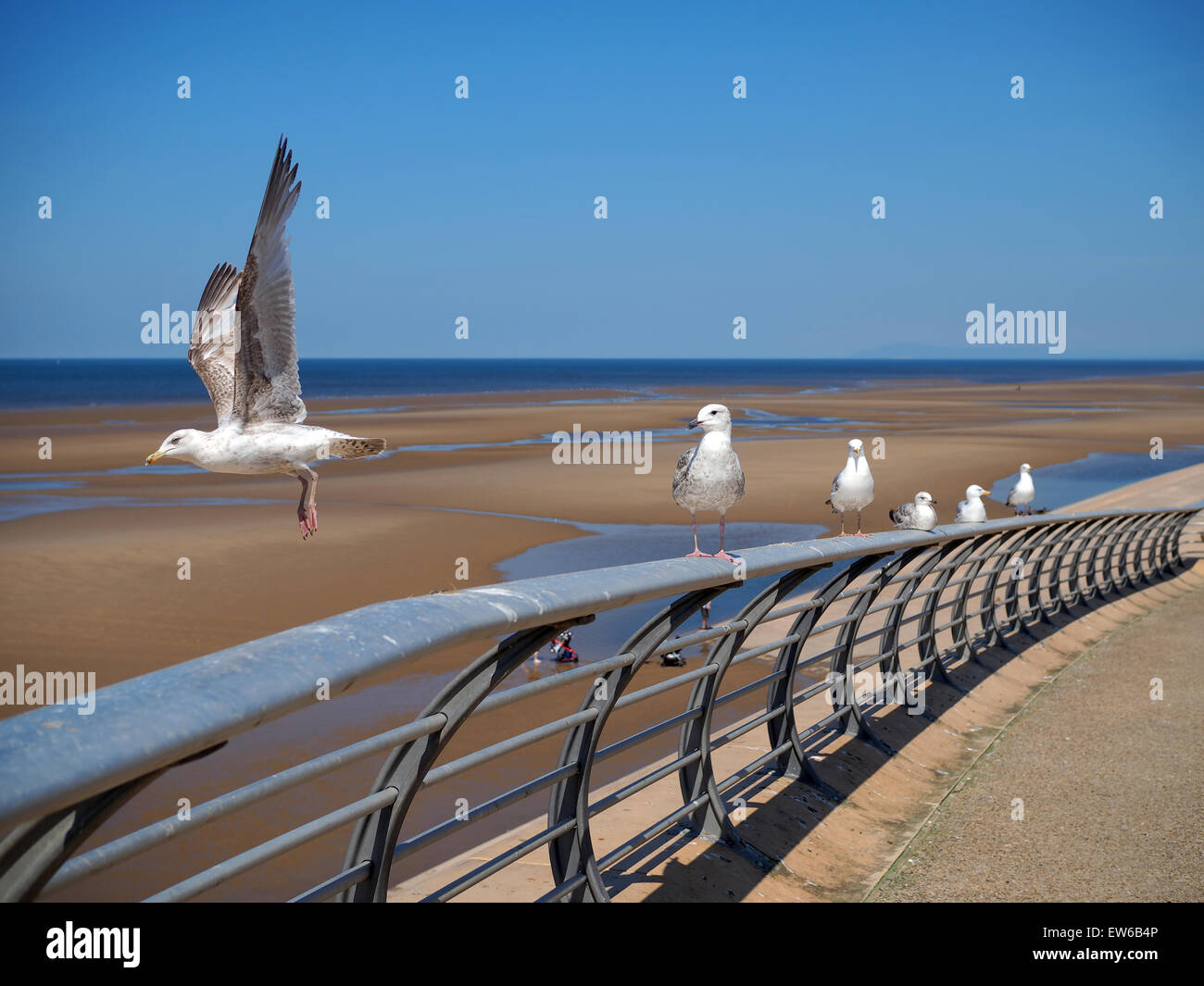 New promenade at Blackpool Stock Photo - Alamy