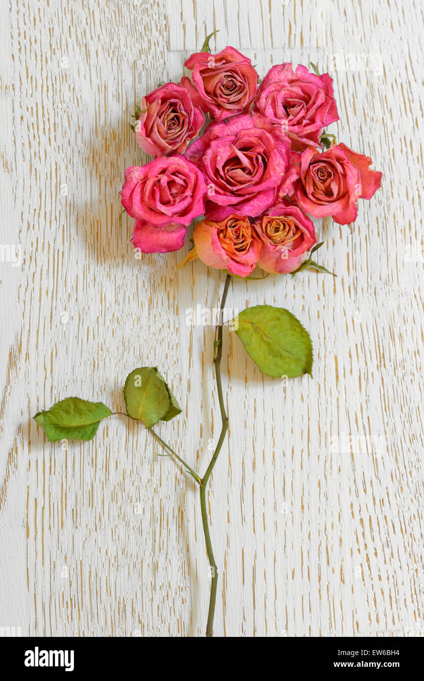 Dried flower bouquet hi-res stock photography and images - Alamy