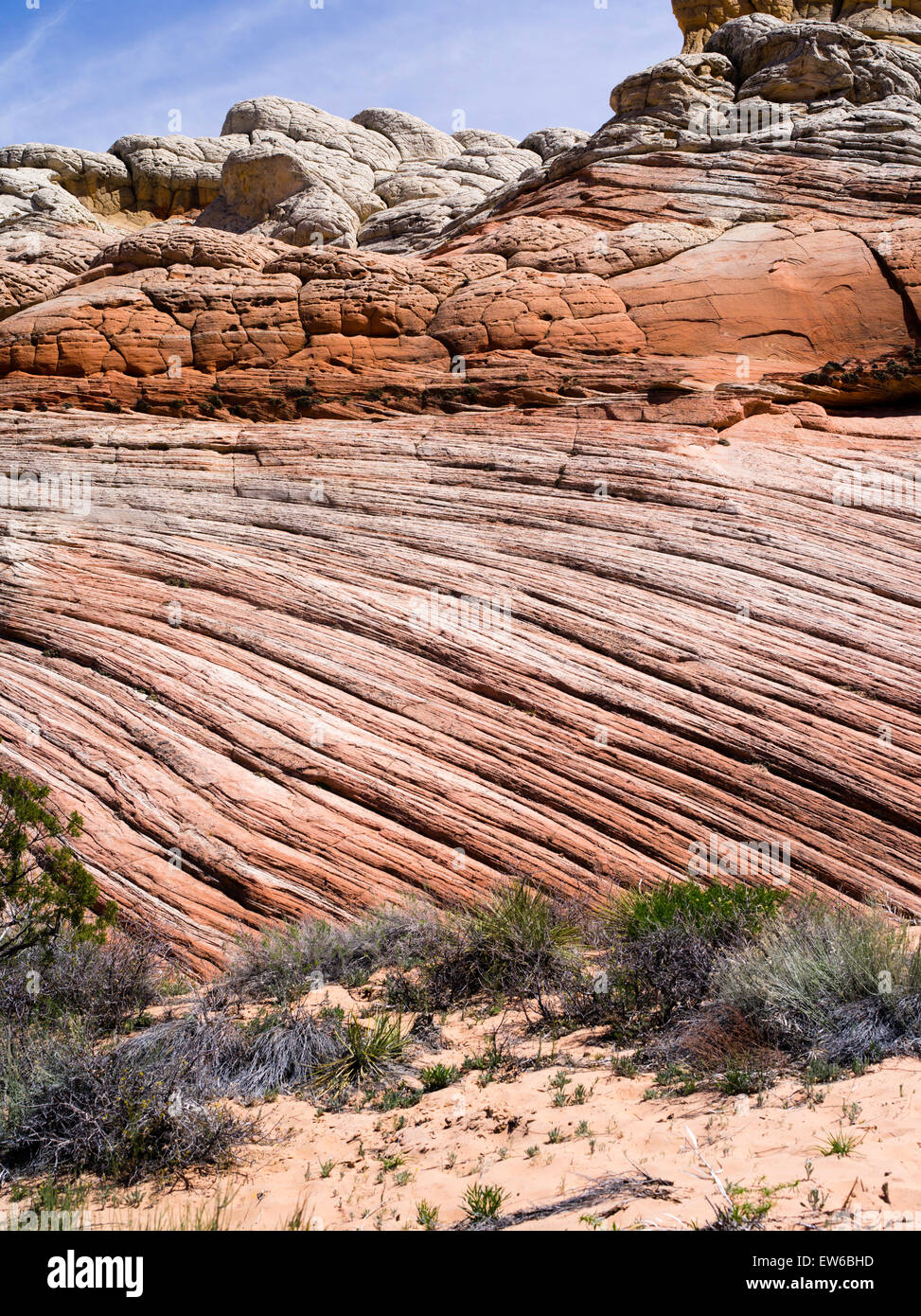 Scene from the White Pocket geological area of Vermillion Cliffs ...