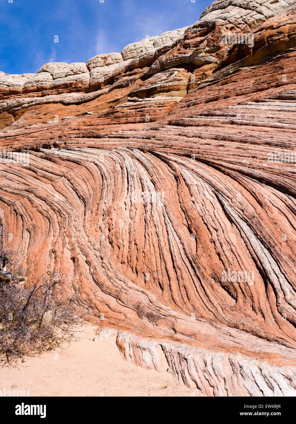 Scene from the White Pocket geological area of Vermillion Cliffs ...