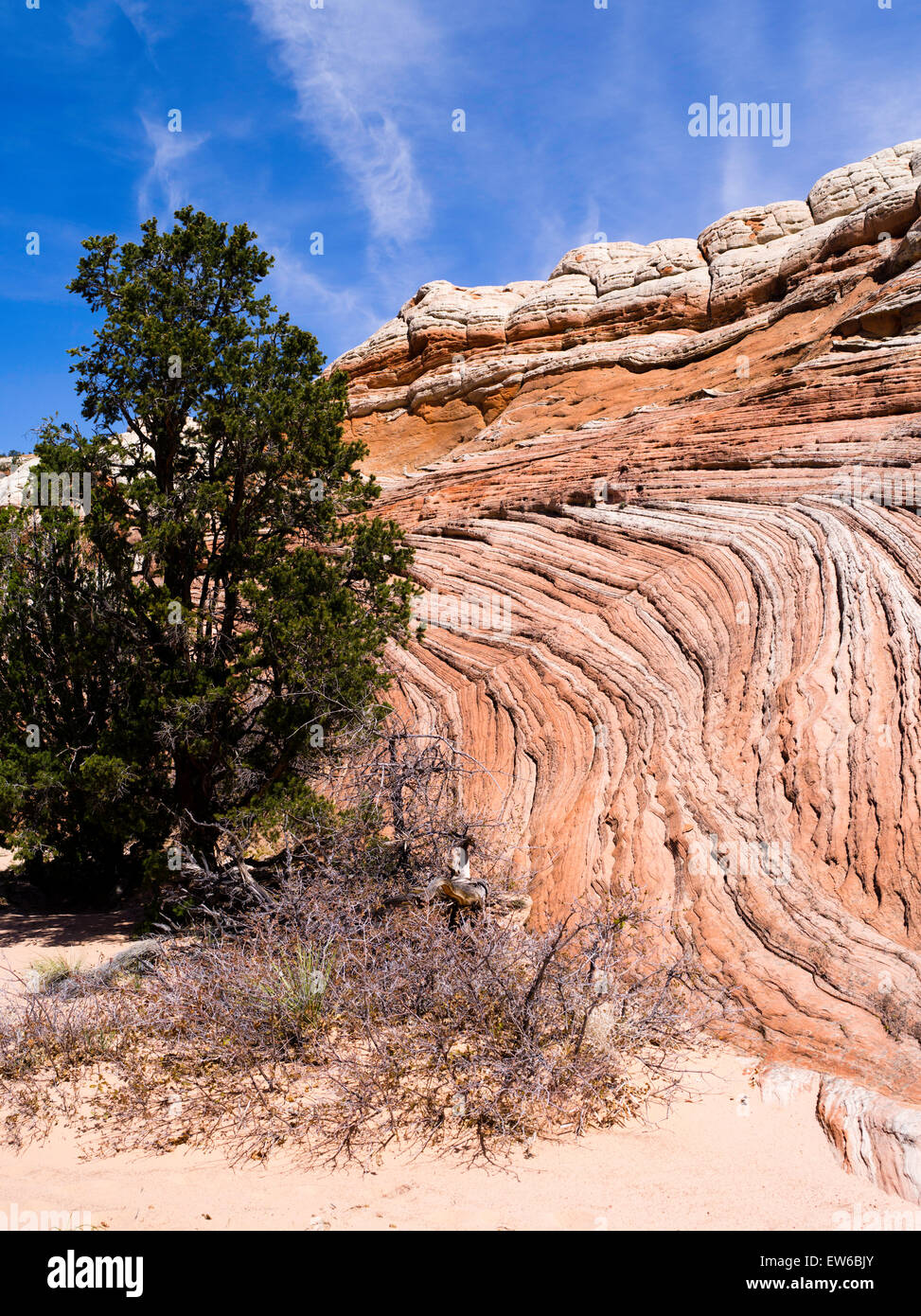 Scene from the White Pocket geological area of Vermillion Cliffs ...