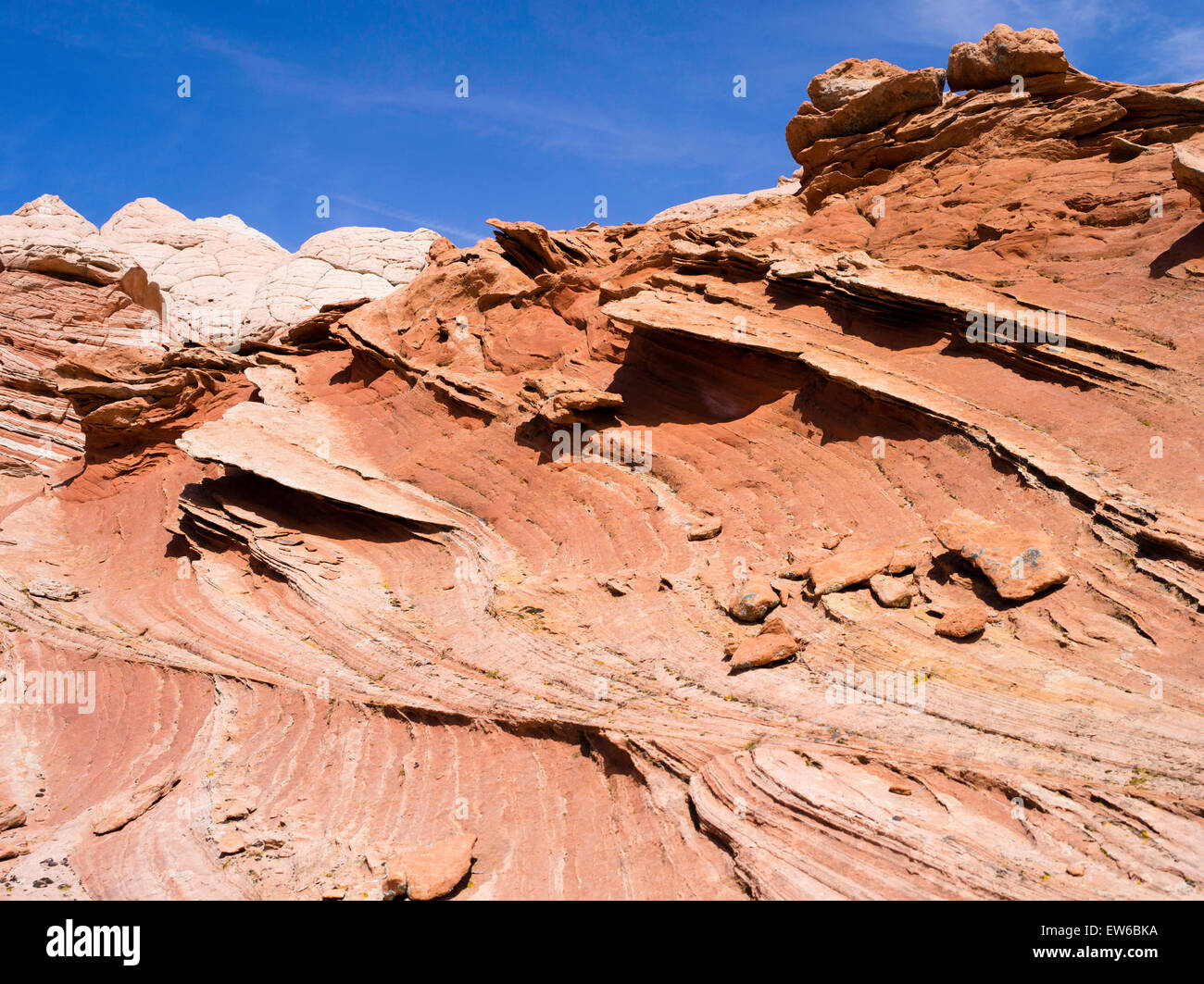 Scene from the White Pocket geological area of Vermillion Cliffs ...