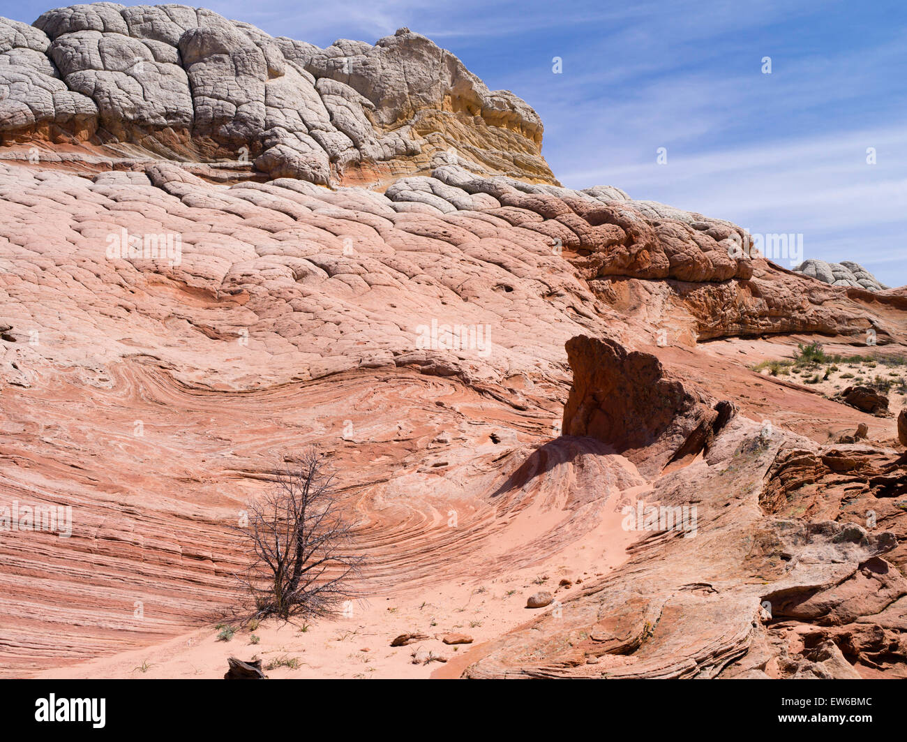 Scene from the White Pocket geological area of Vermillion Cliffs ...