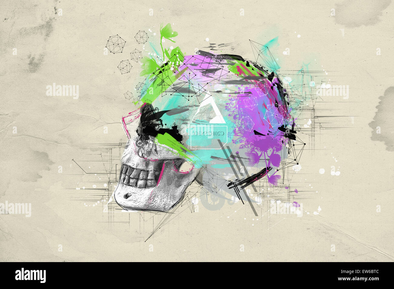 Graphic Design study of a Skull Stock Photo - Alamy