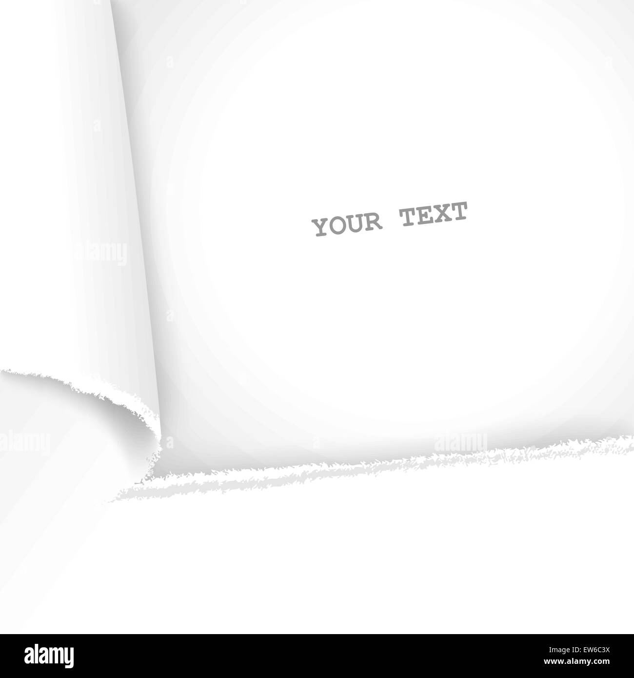 Torn Paper Edge Vector Stock Photos & Torn Paper Edge Vector Stock ...