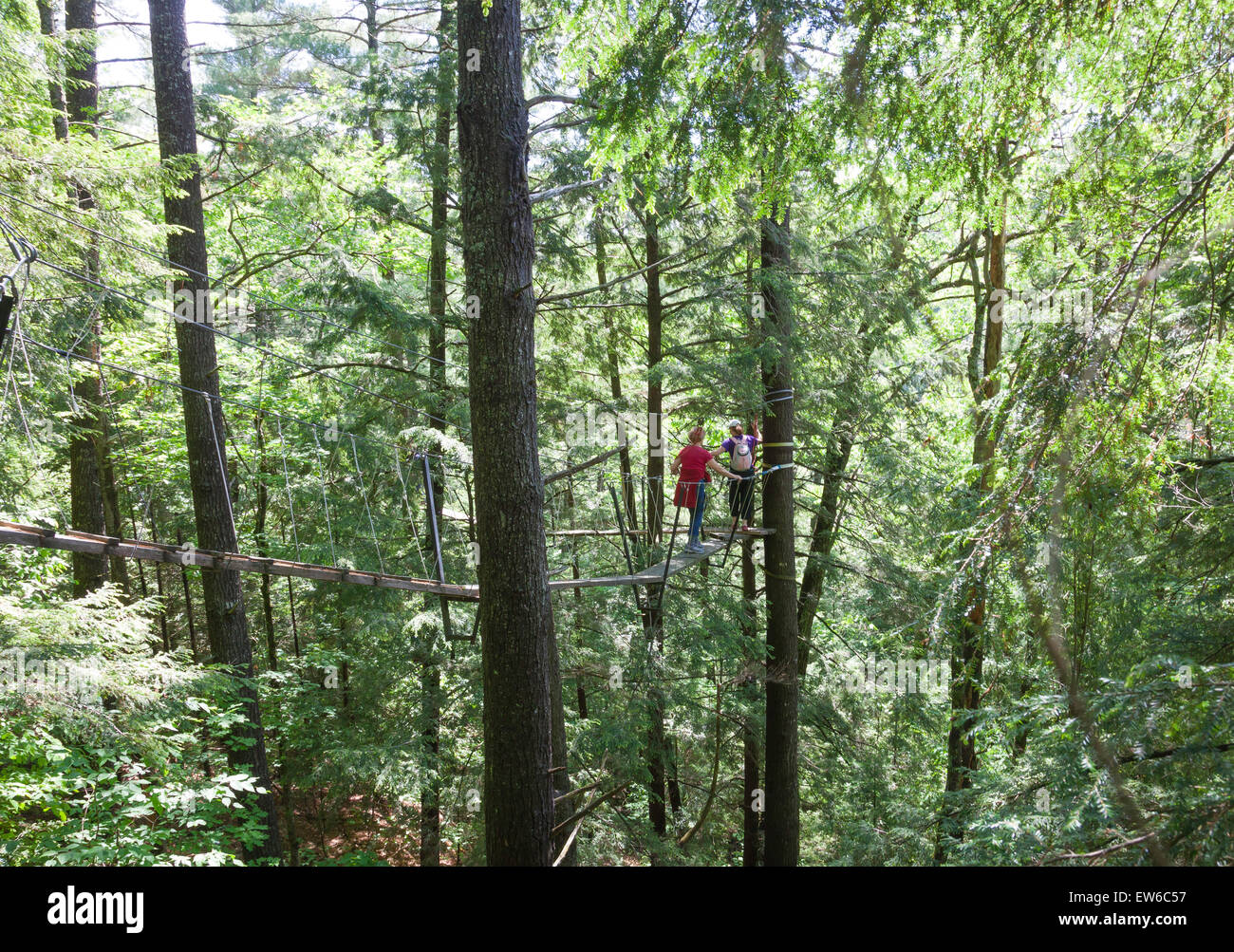 A 70 feet above ground on a board walk or Walk in the Clouds; Canopy ...