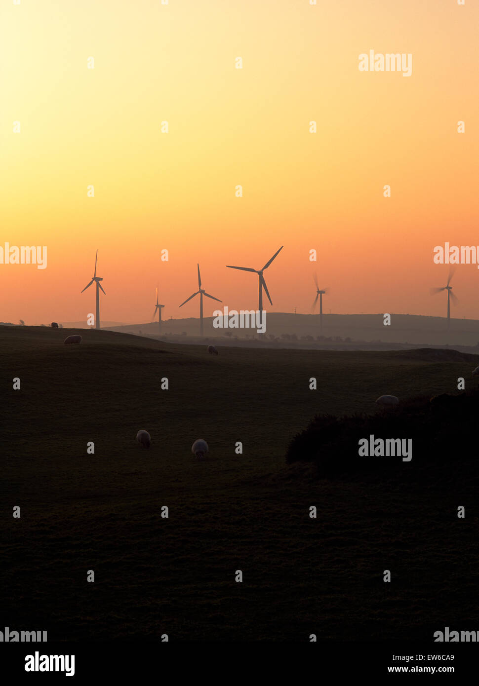 Six of the 24 wind-driven electricity-generating turbines of Rhyd y ...