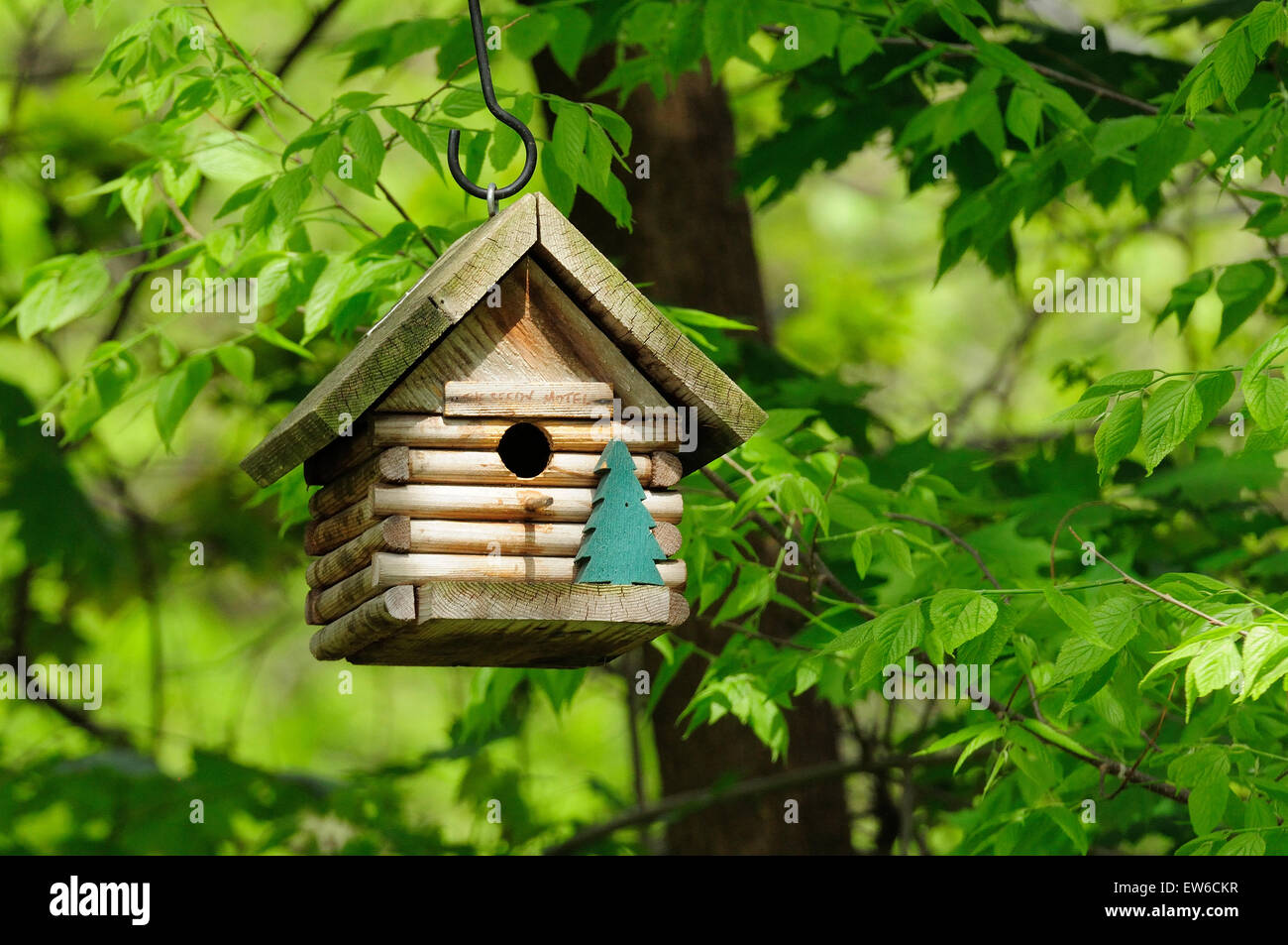 Seedy hi-res stock photography and images - Alamy