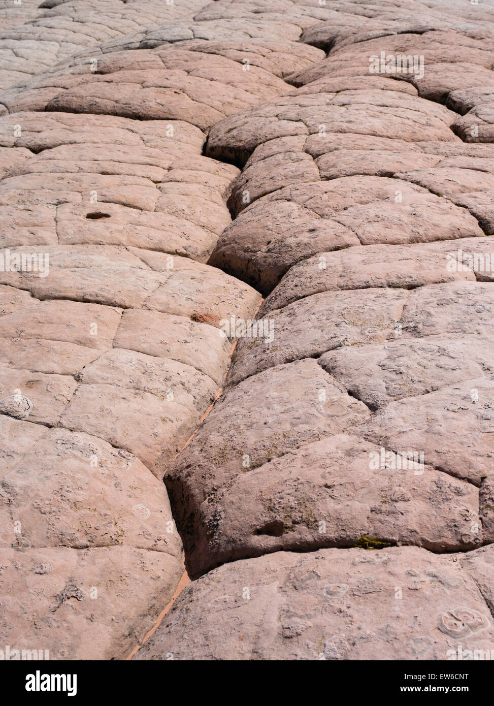 Lichen and geometric erosion patterns on sandstone; scene from the ...