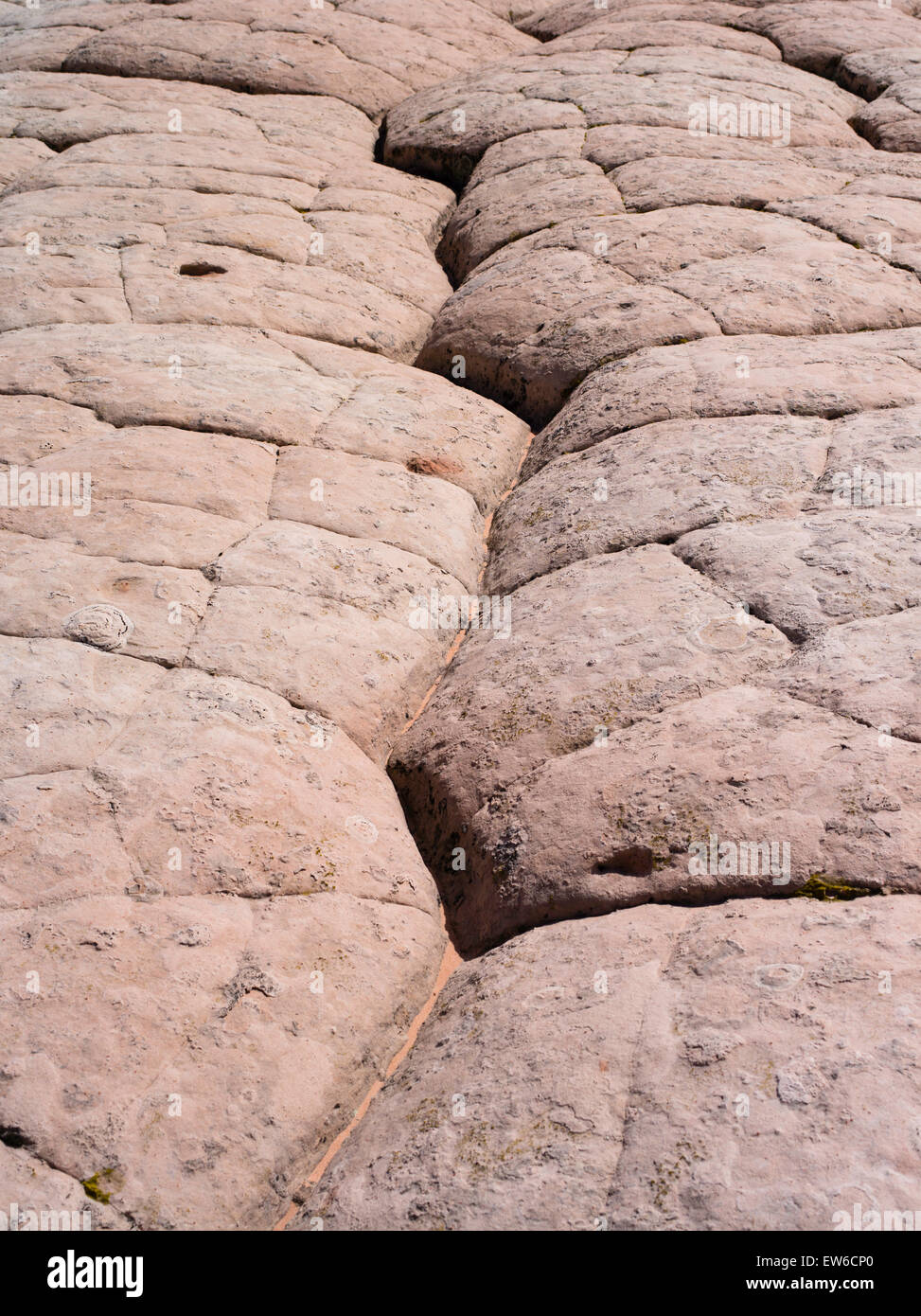 Lichen and geometric erosion patterns on sandstone; scene from the ...