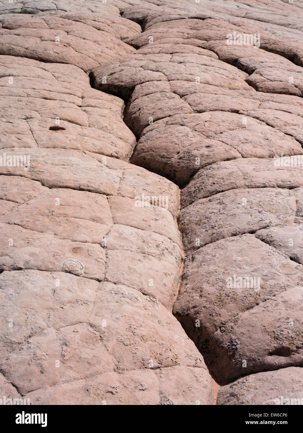 Lichen and geometric erosion patterns on sandstone; scene from the ...