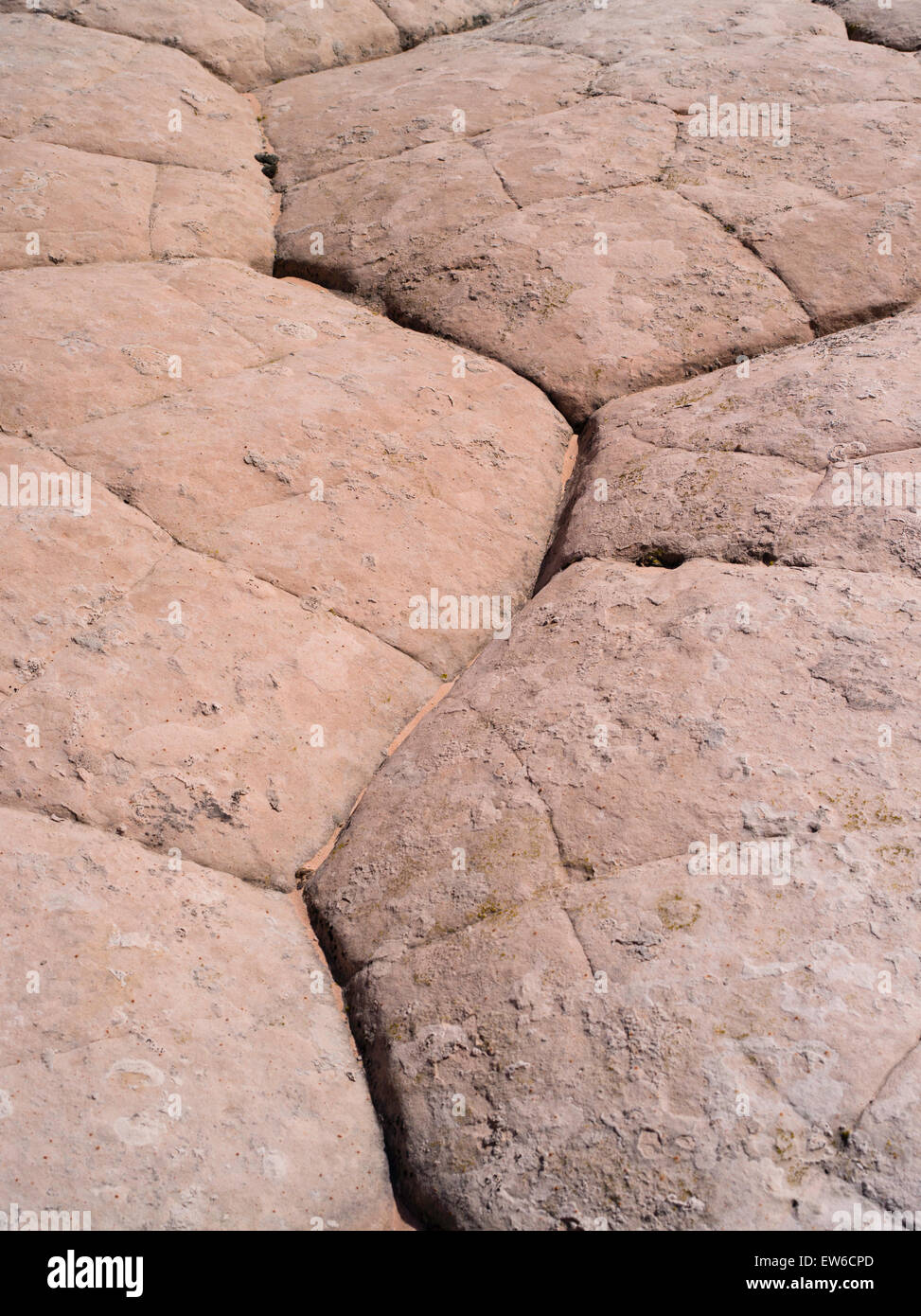 Lichen and geometric erosion patterns on sandstone; scene from the ...