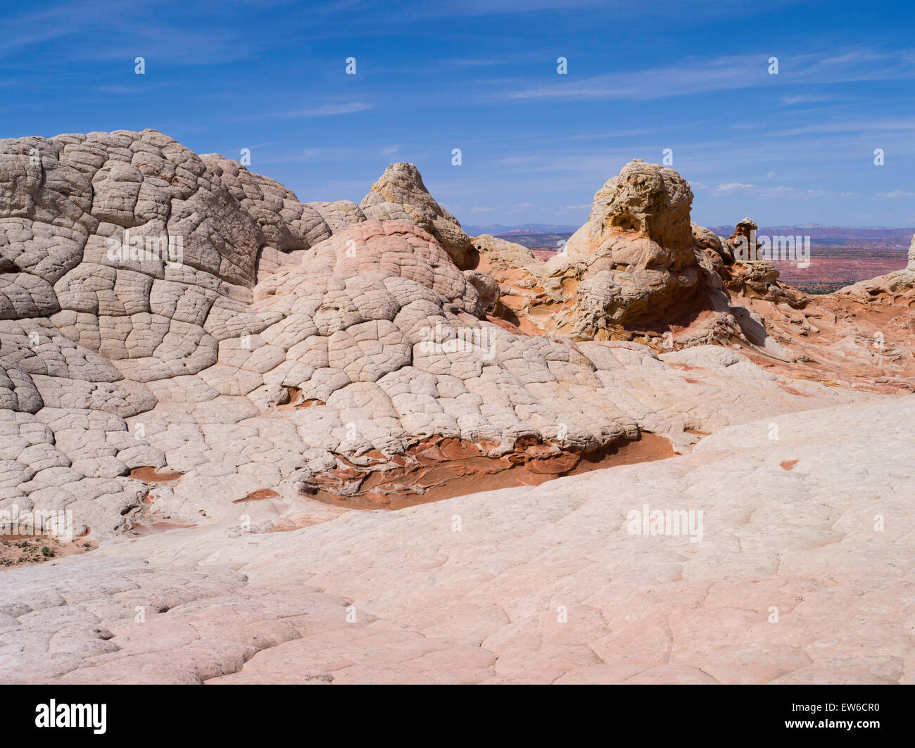 Lichen and geometric erosion patterns on sandstone; scene from the ...