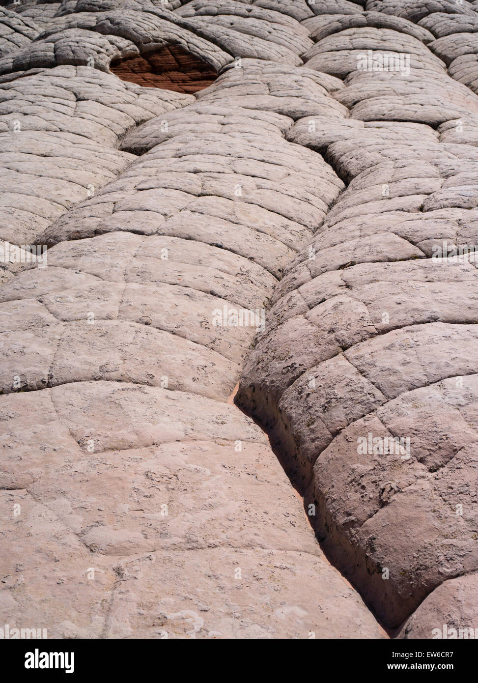 Lichen and geometric erosion patterns on sandstone; scene from the ...