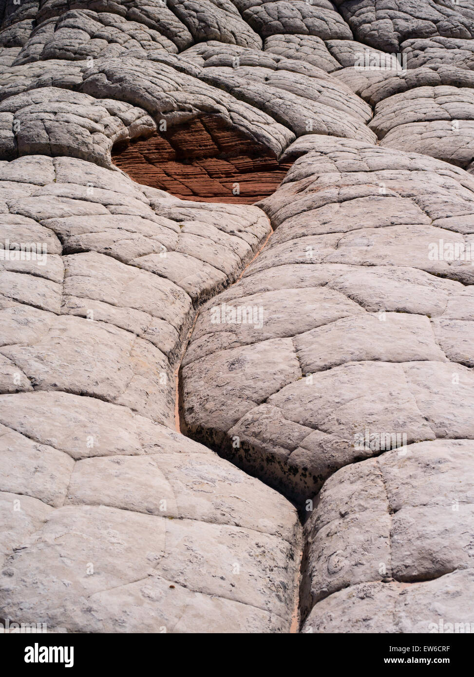 Lichen and geometric erosion patterns on sandstone; scene from the ...
