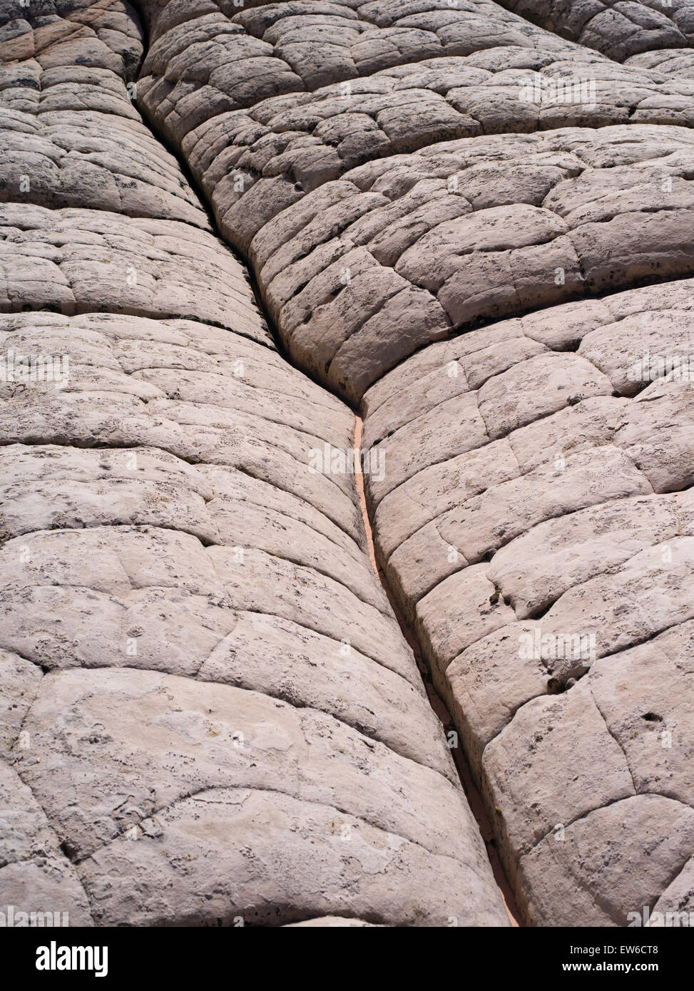 Lichen and geometric erosion patterns on sandstone; scene from the ...