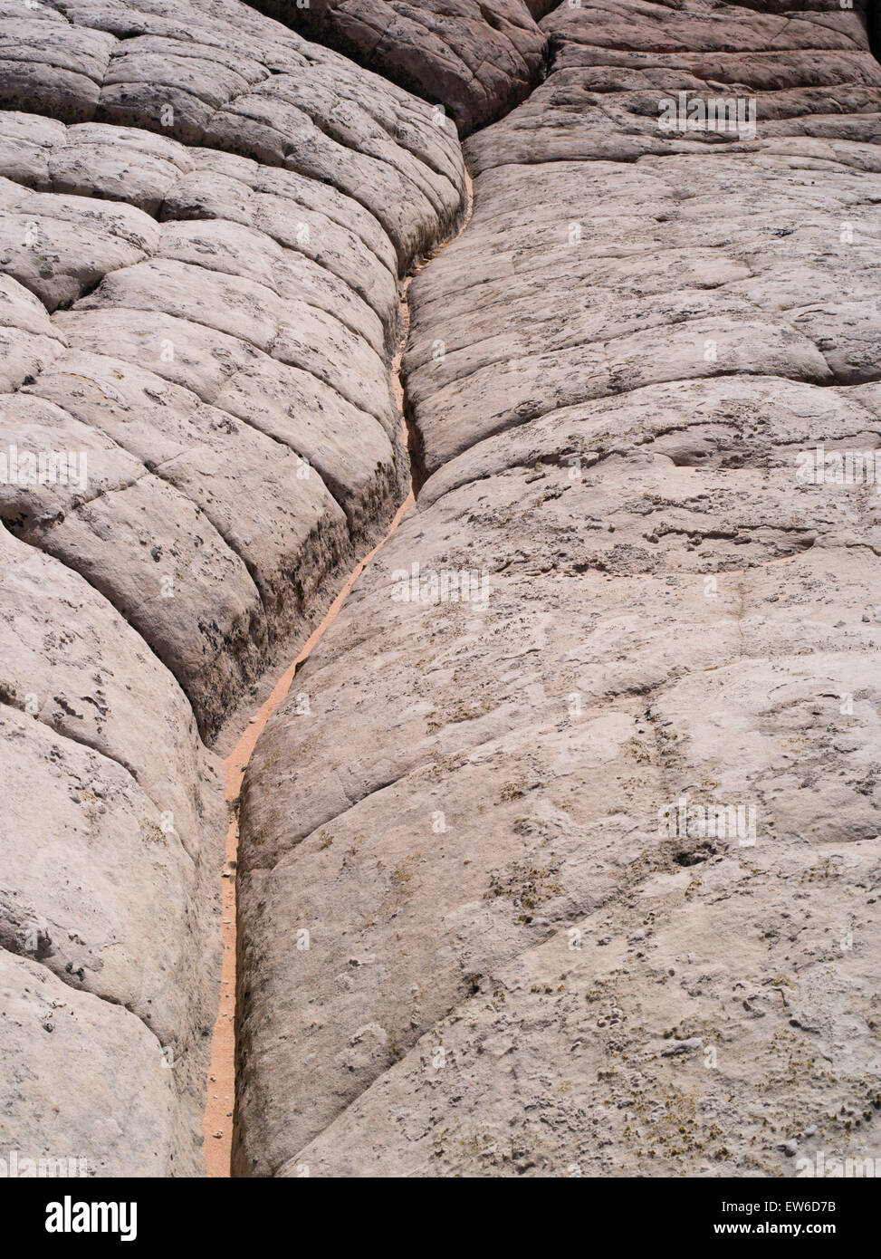 Lichen and geometric erosion patterns on sandstone; scene from the ...