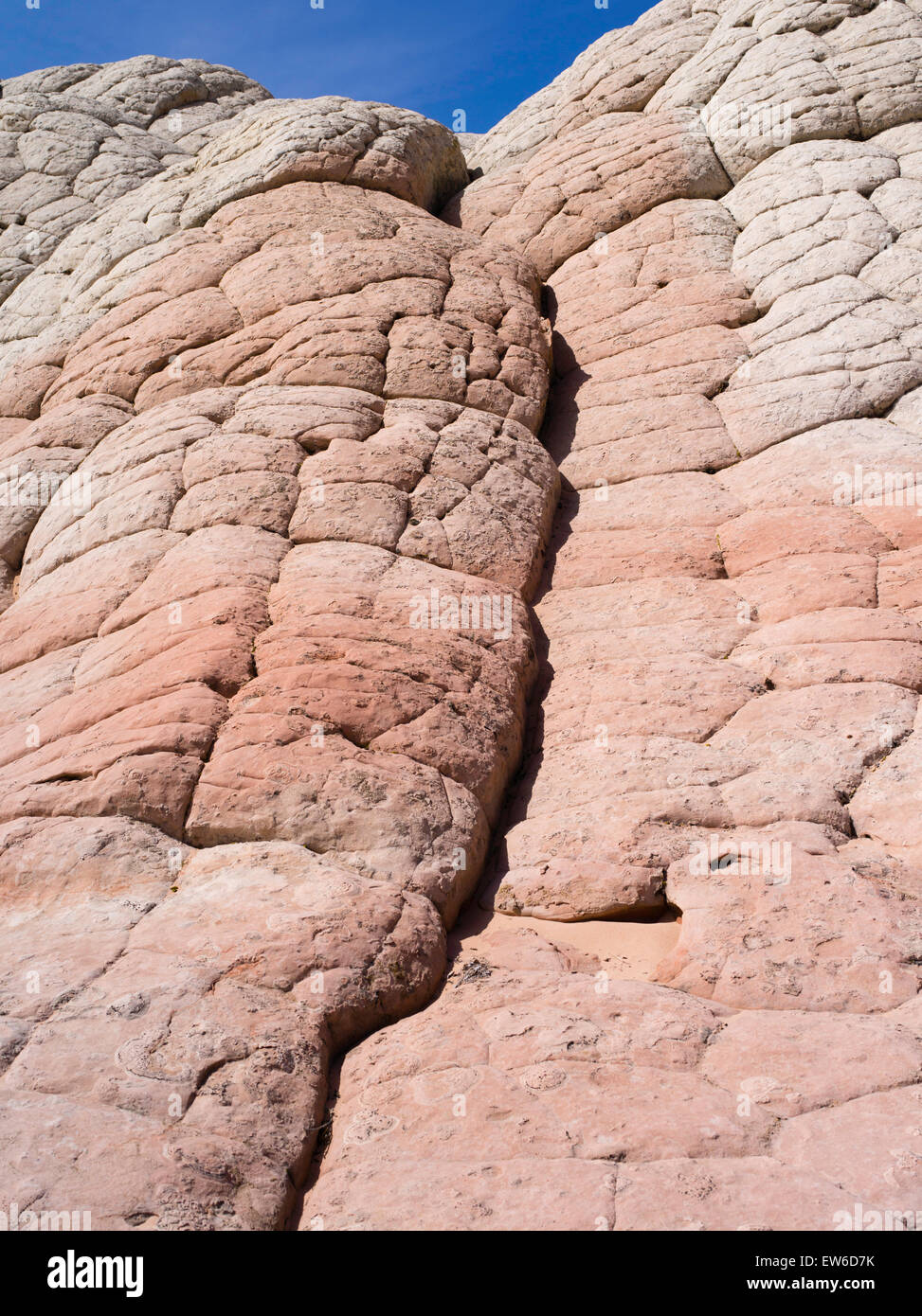 Lichen and geometric erosion patterns on sandstone; scene from the ...
