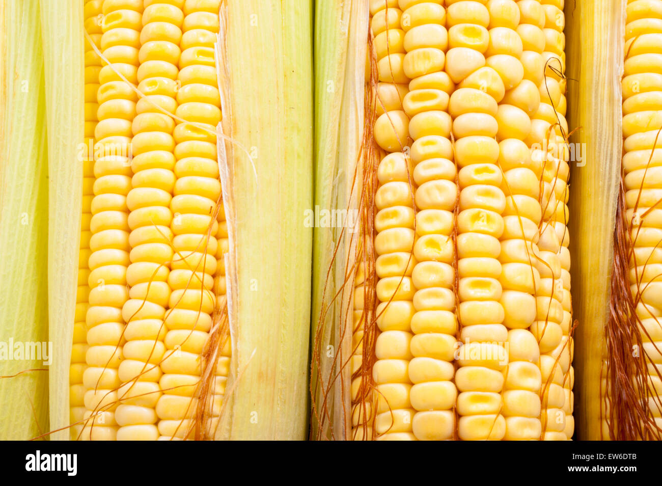 Raw Organic Corn background Stock Photo - Alamy