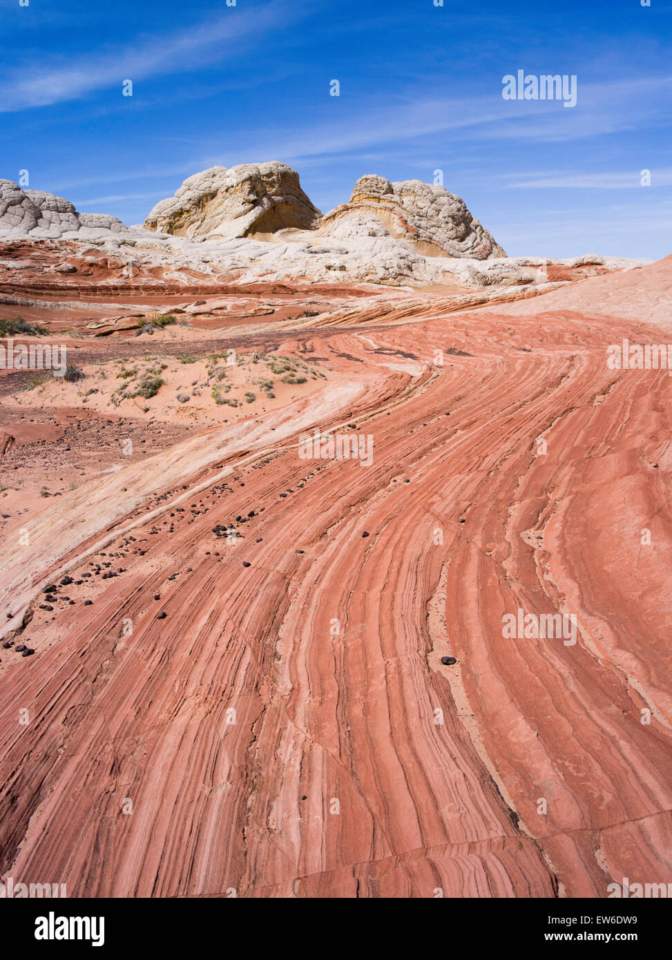 Scene from the White Pocket geological area of Vermillion Cliffs ...