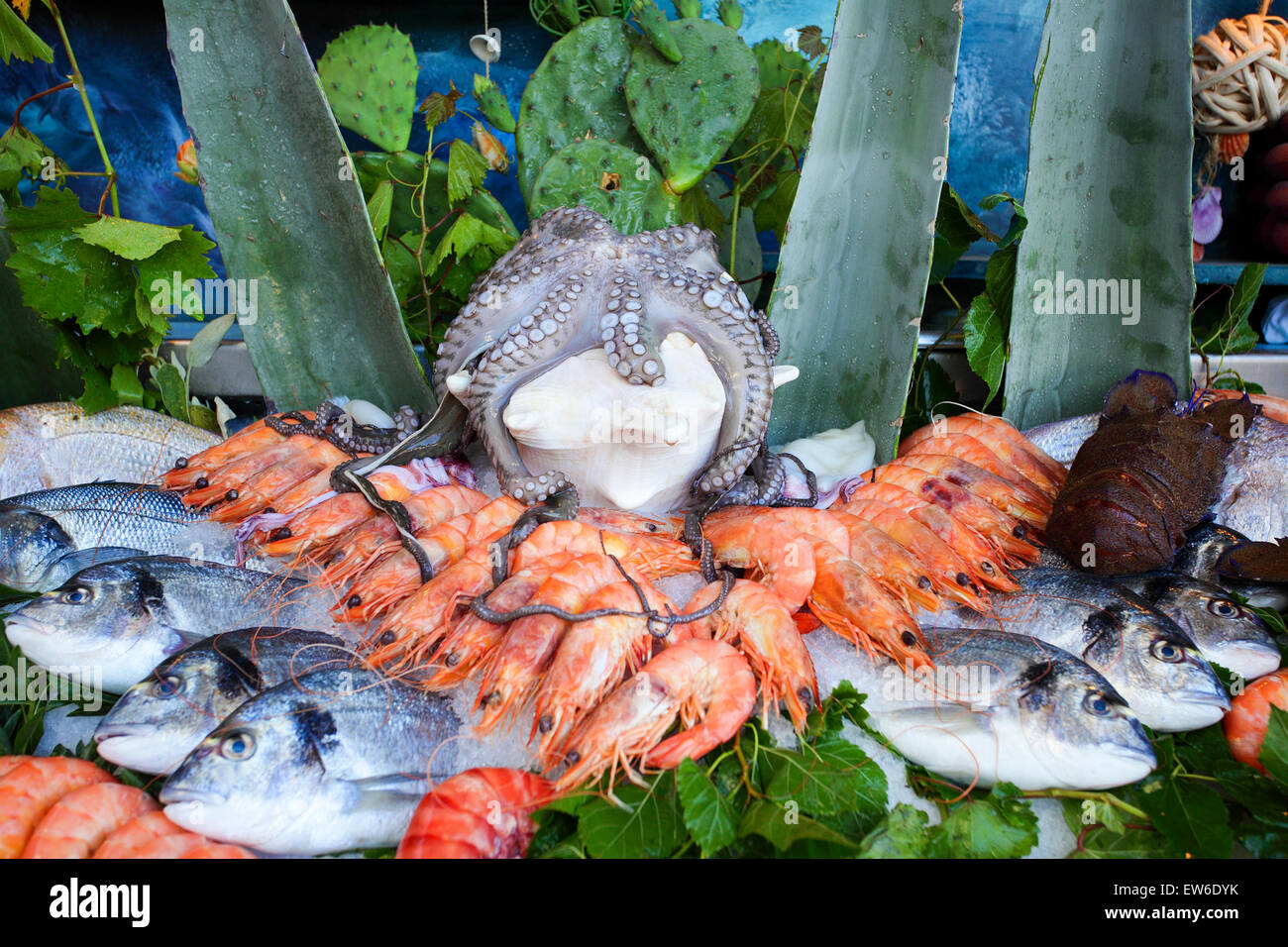 Delightful fresh seafood display. Offered for consumption on the ...