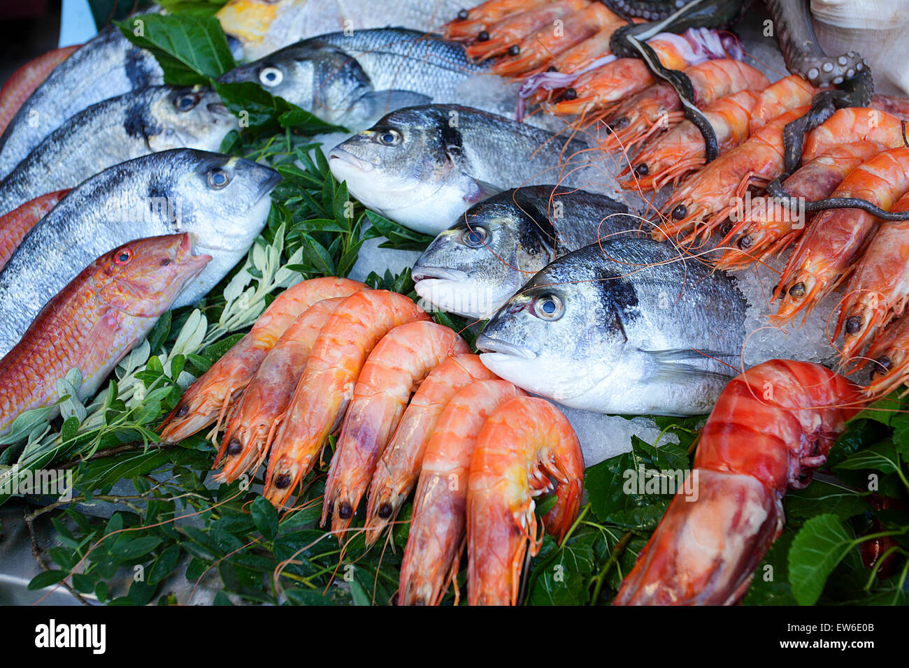 Fresh Seafood Displays