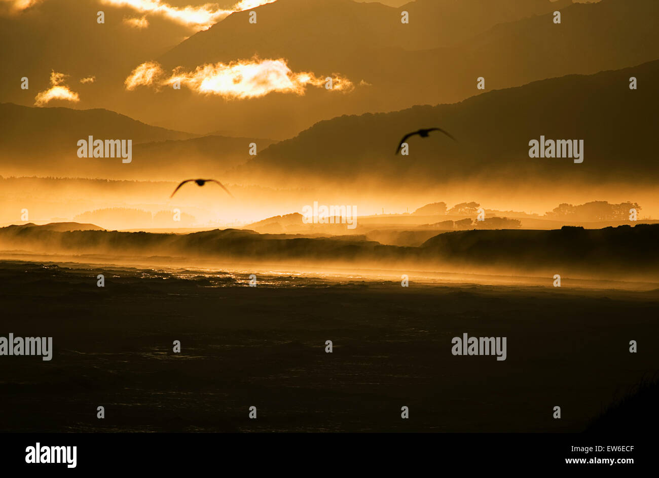 Invercargill new zealand hi-res stock photography and images - Alamy