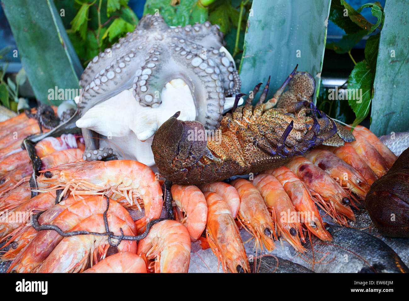 Seafood display hi-res stock photography and images - Alamy