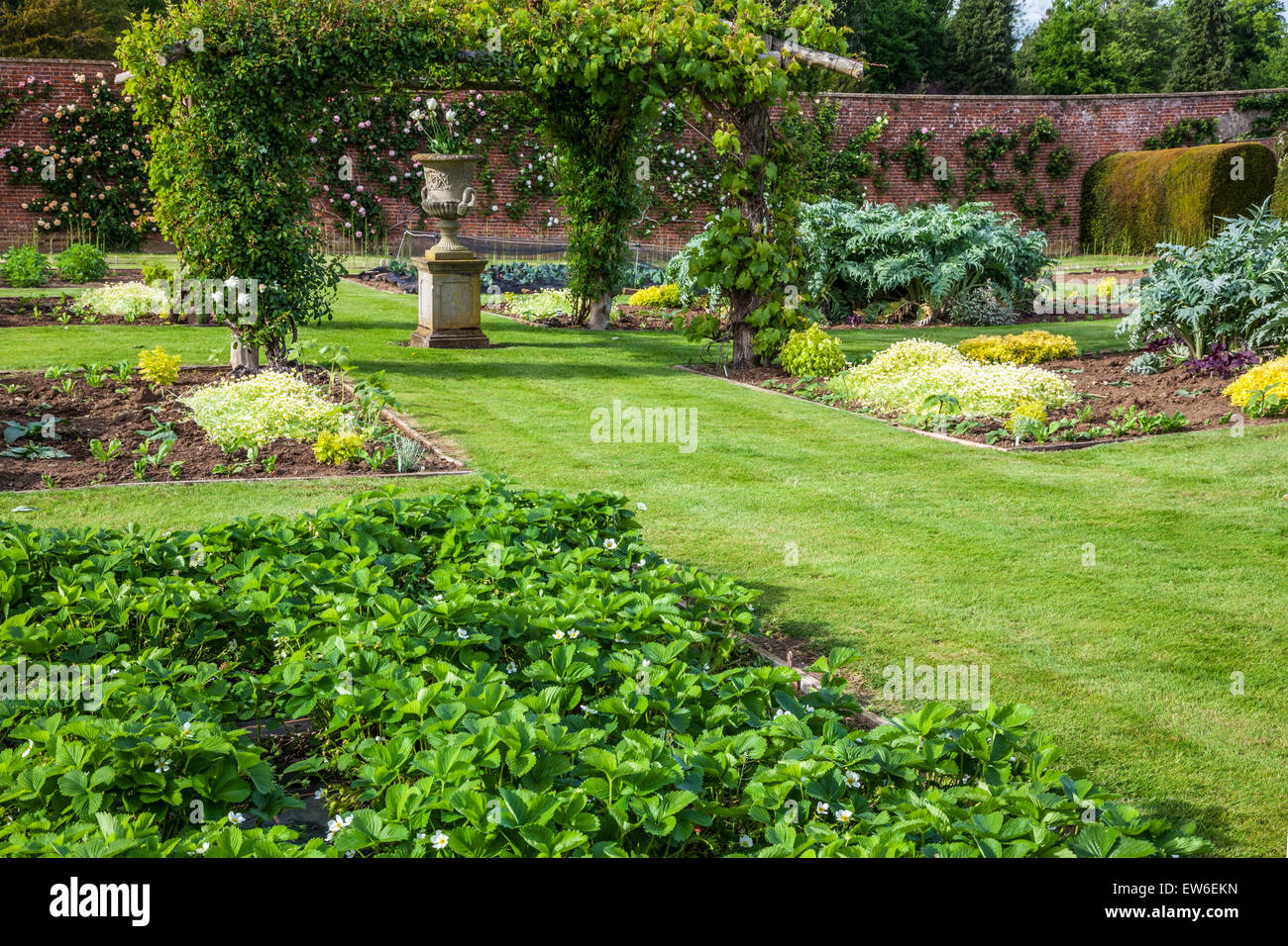 The vegetable garden in the walled gardens of Bowood House in Wiltshire ...