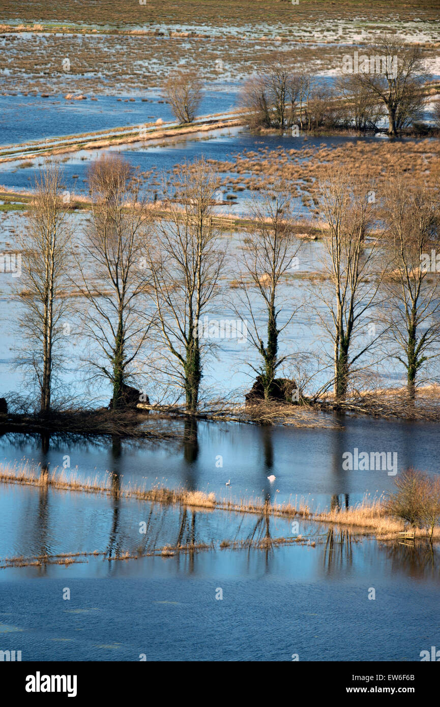 Improving weather has given some parts of the Somerset Levels the ...